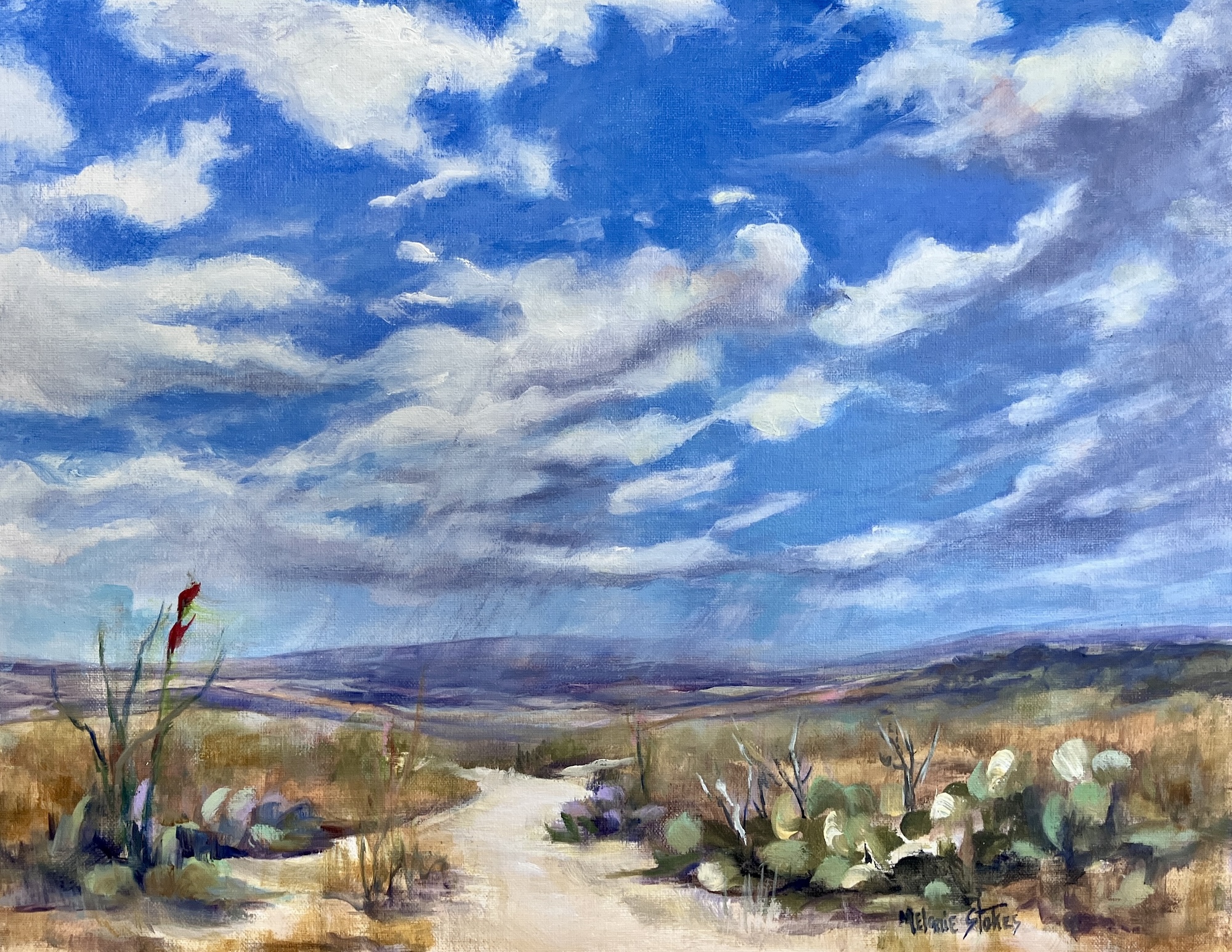 MELANIE STOKES | Professional Artists of Central Texas